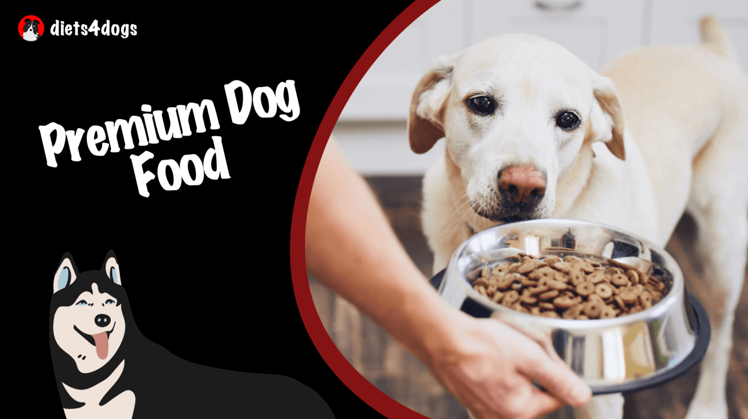 Premium Dog Food. The Ultimate Guide - Diets4dogs